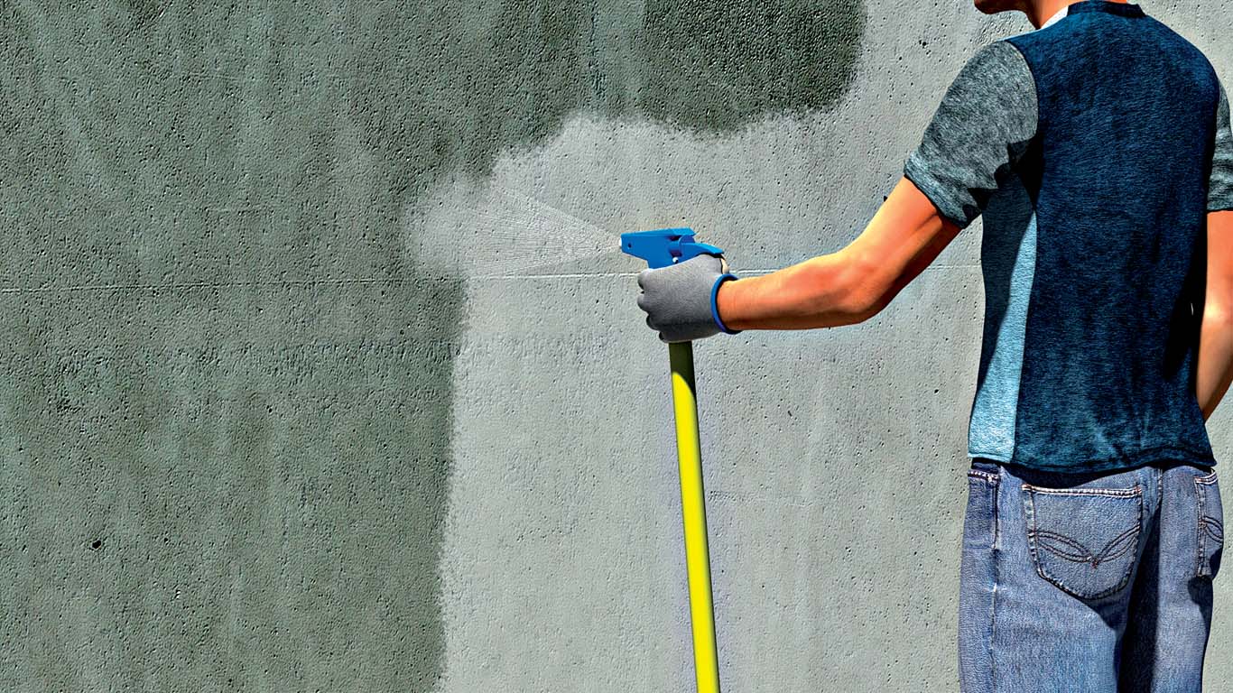 Végétaliser un mur - [THEMATIQUE]